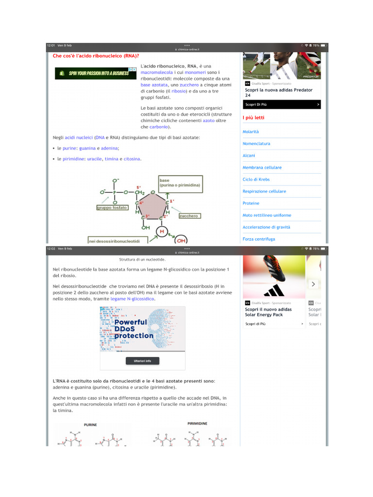 Rna | PDF