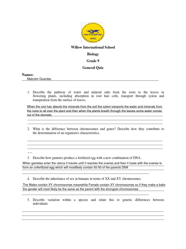 Grade_9_Bio_quiz[1] | PDF | Chromosome | Photosynthesis