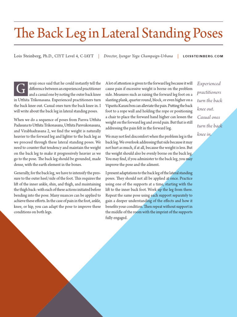 The Back Leg in Standing Poses | PDF | Knee | Foot