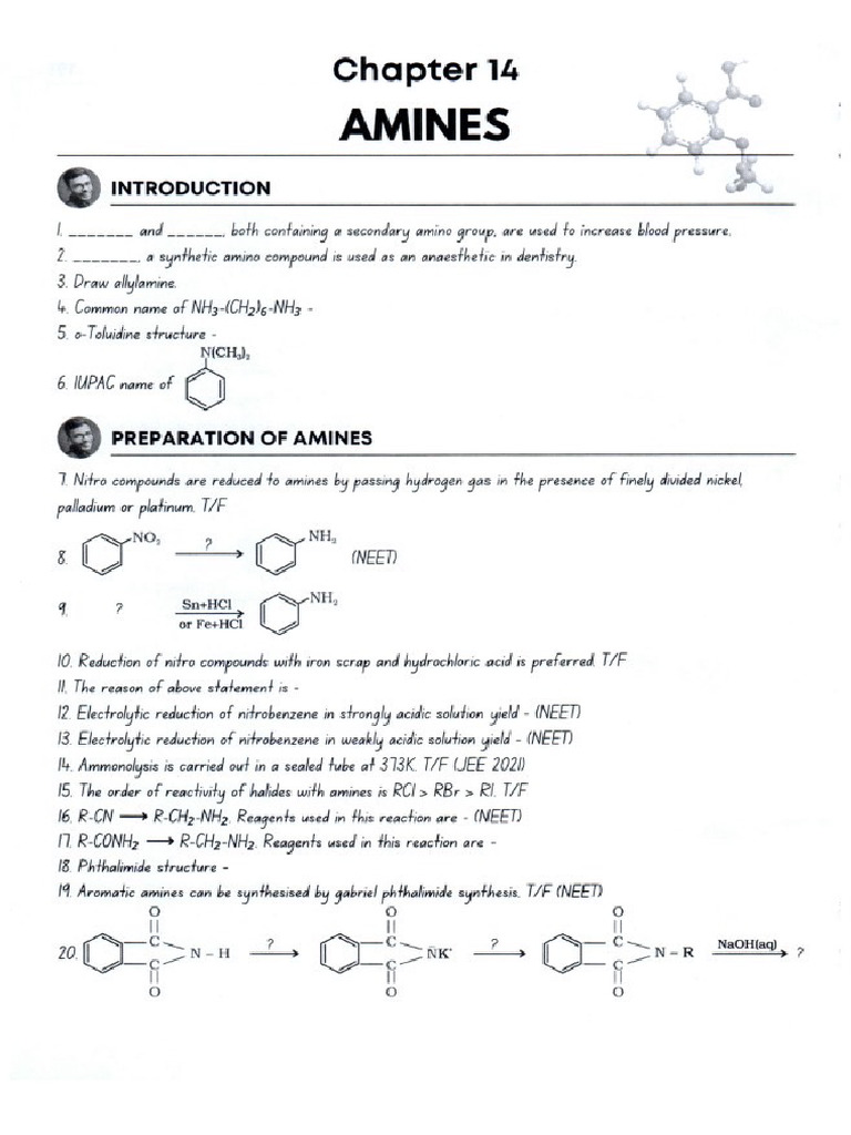 Amines | PDF