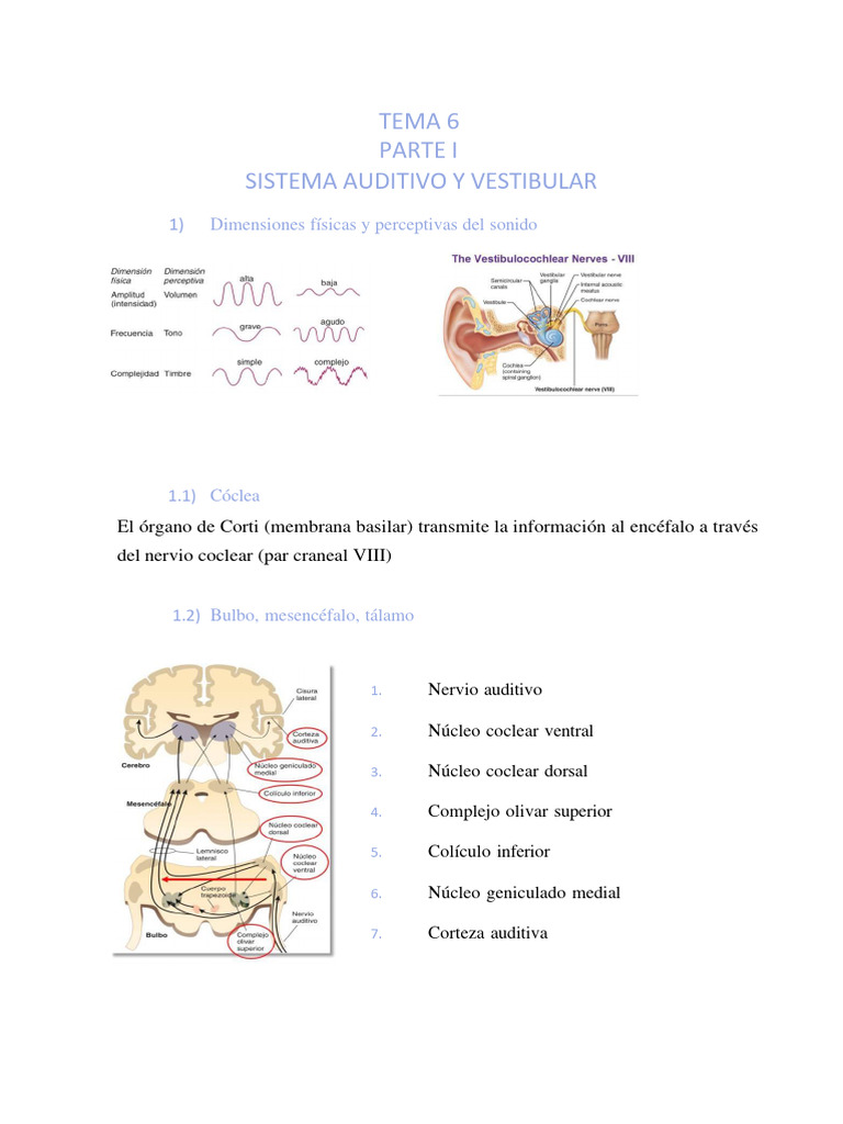 Tema 6 | PDF | Dolor | Gusto