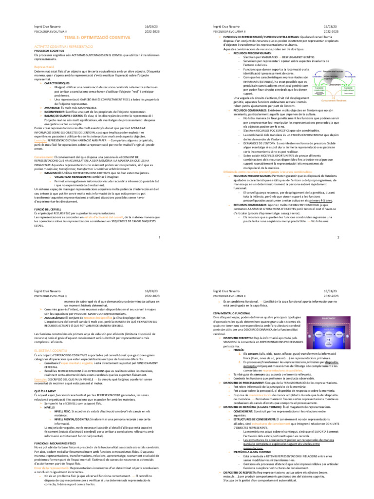 Tema-3 Optimitzacio Cognitiva | PDF