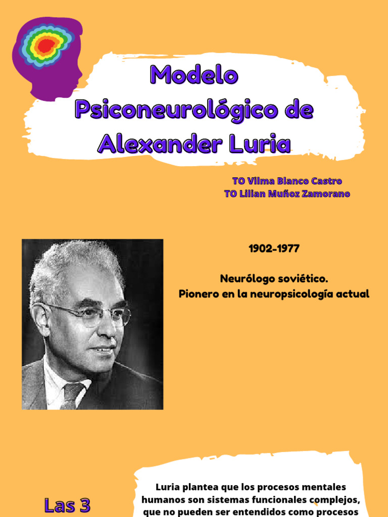 Modelo Psiconeurológico de Alexander Luria | PDF | Corteza cerebral ...