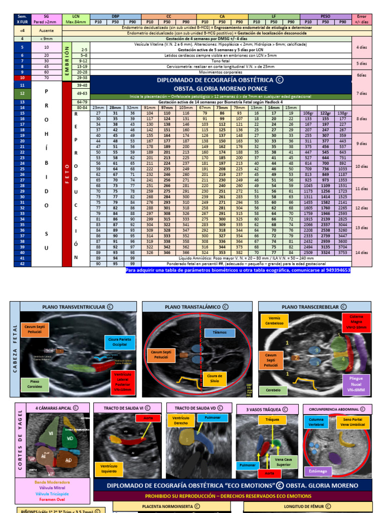 Tabla M4 2do Trimestre | PDF | Reproducción