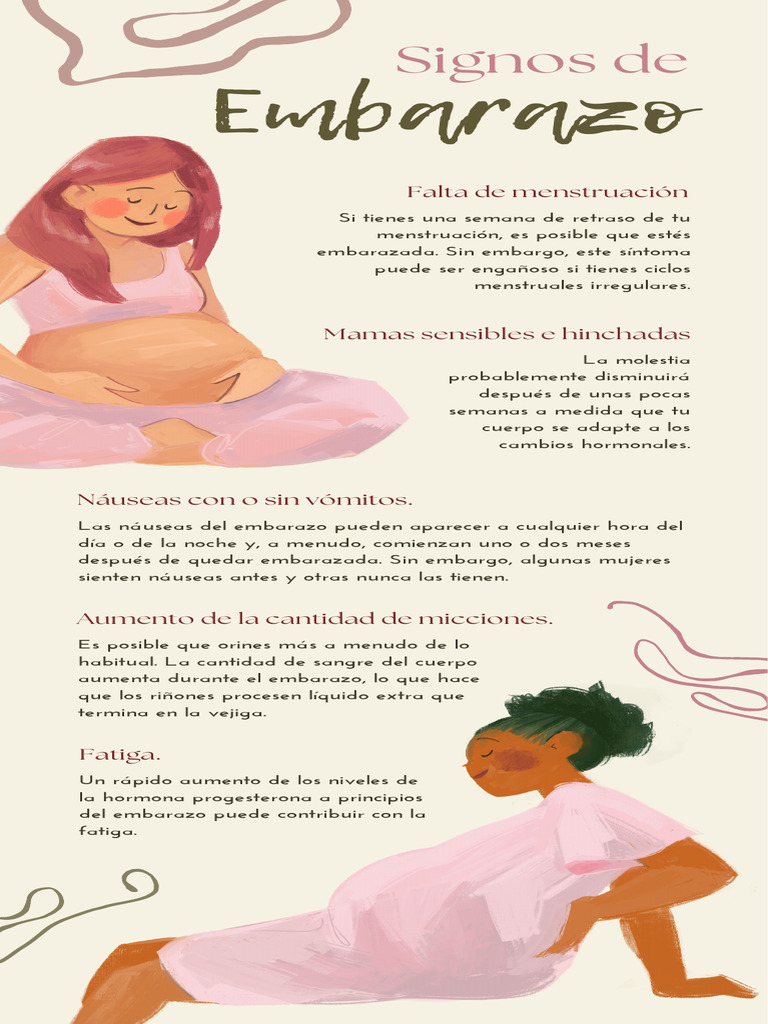 Infografía Signos de Embarazo | PDF