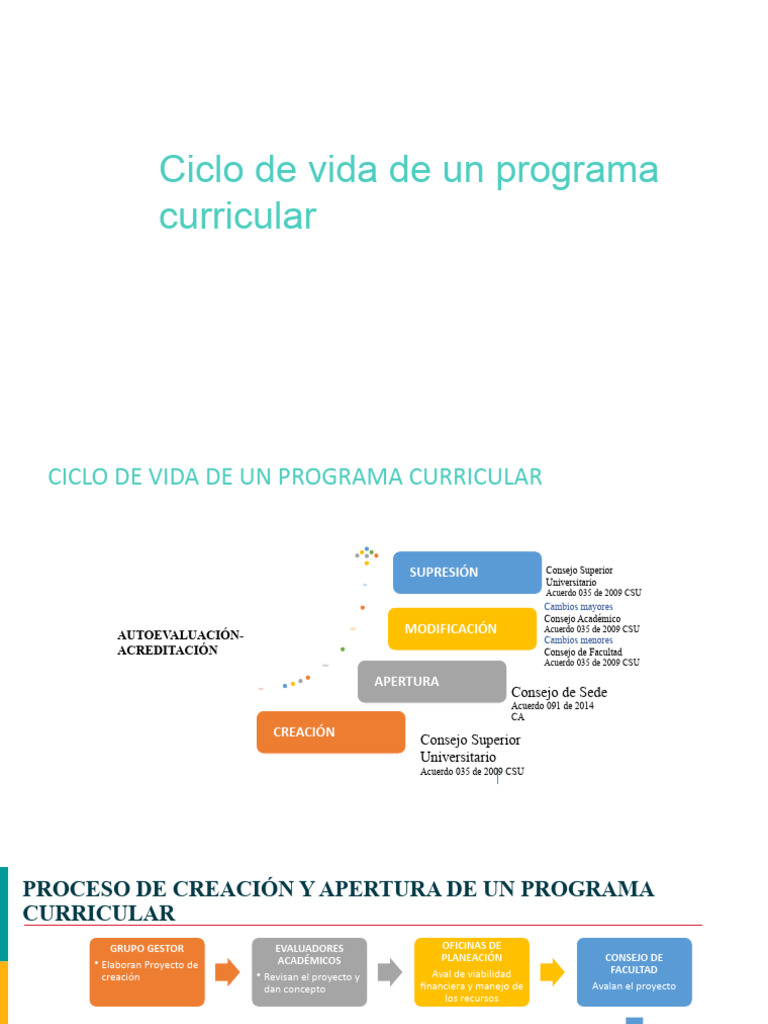 Ciclo de Vida de Un Programa Curricular | PDF | Plan de estudios