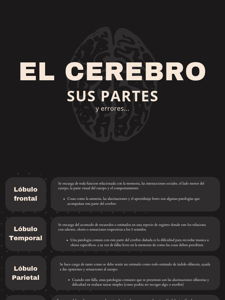 Partes del Cerebro y sus Funciones | PDF | Cerebro | Cerebelo