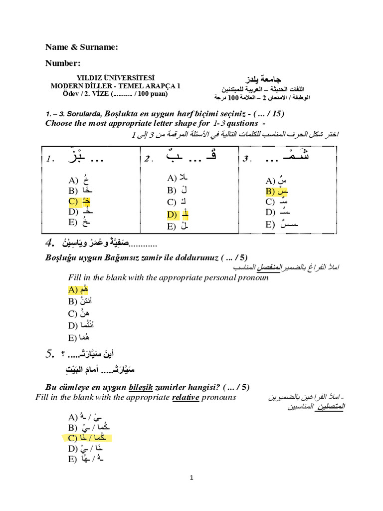 Vize 2 Arabic | PDF