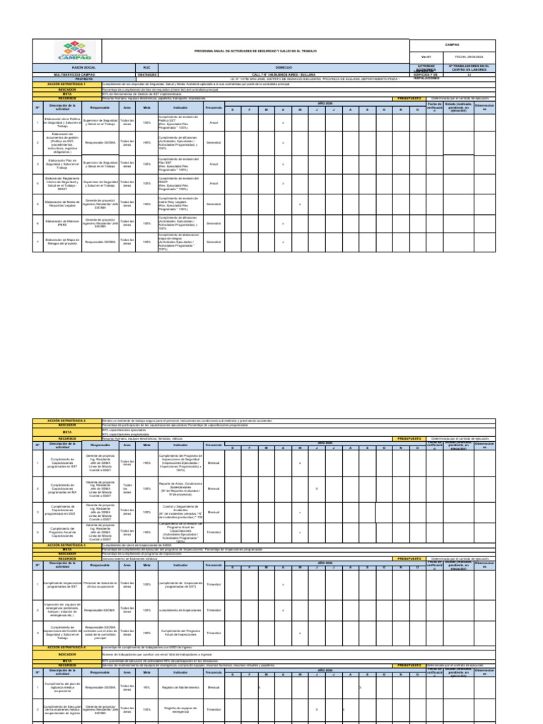 Programa Anual SST Ok | Descargar gratis PDF | Seguridad y salud ocupacional | Presupuesto