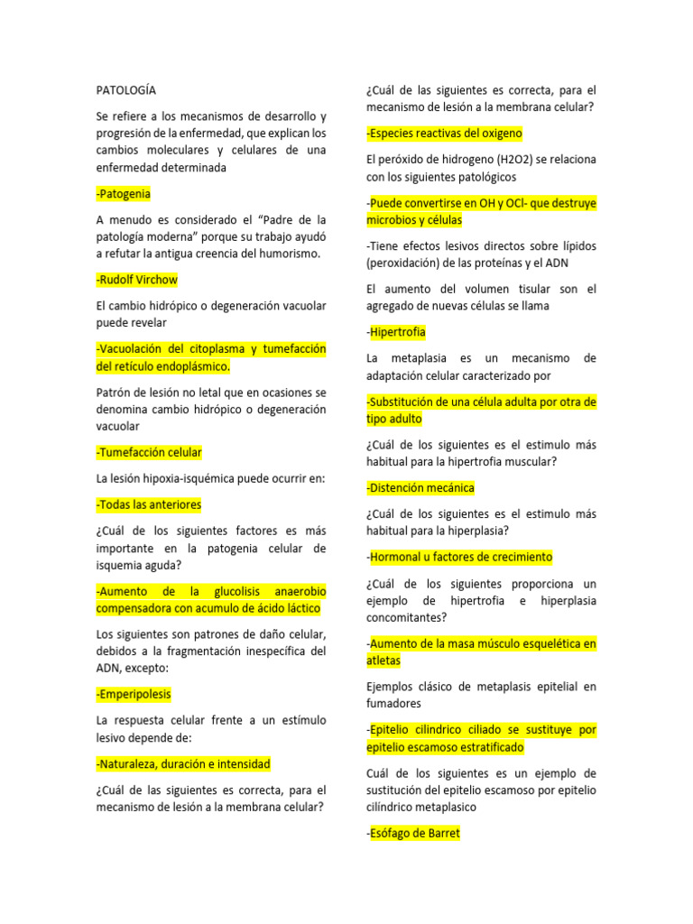 Pato 1 Parcial | PDF