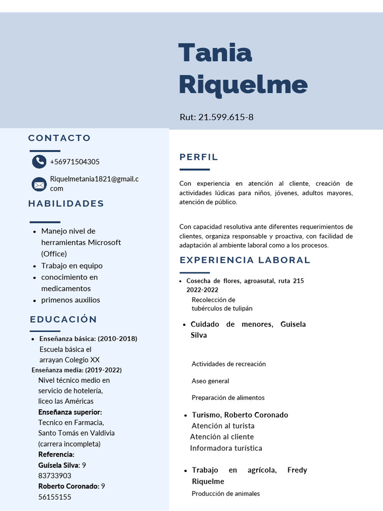 Perfil Profesional de Tania Riquelme | PDF