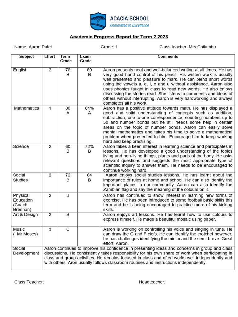 Aaron Patel | PDF | Learning | Mathematics