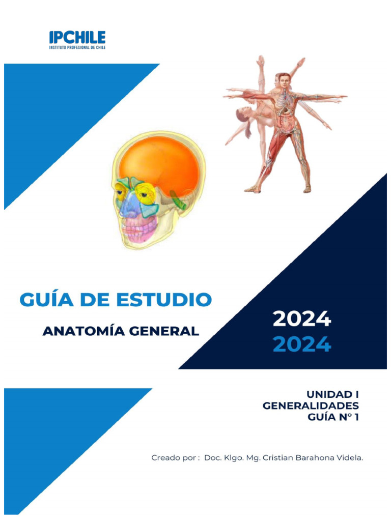 Términos y Planos Anatómicos Básicos | PDF | Términos anatómicos de ...