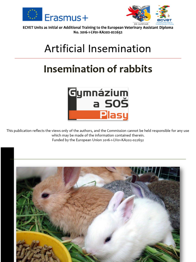01 Insemination of Rabbits | PDF | Rabbit | Vagina