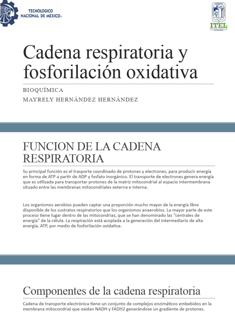 Cadena Respiratoria y Fosforilación Oxidativa | PDF | Cadena de transporte de electrones ...