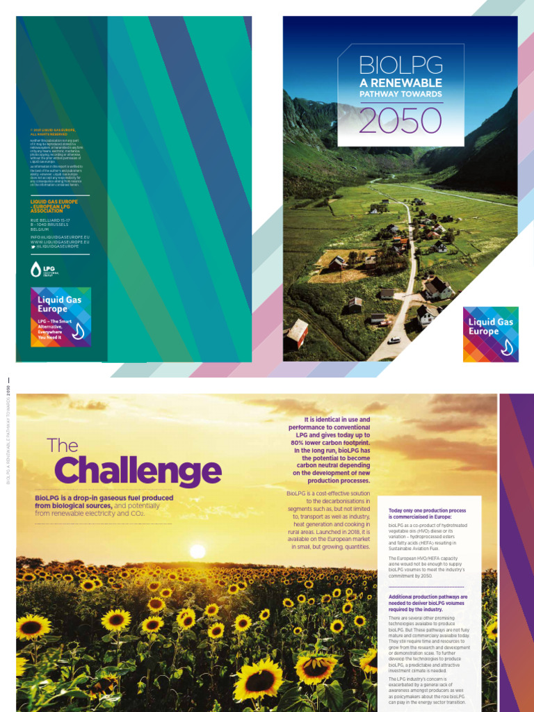BioLPG: Renewable Pathway to 2050 | PDF | Liquefied Petroleum Gas | Biofuel