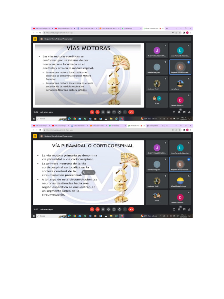 Clase Neuro 4 | PDF