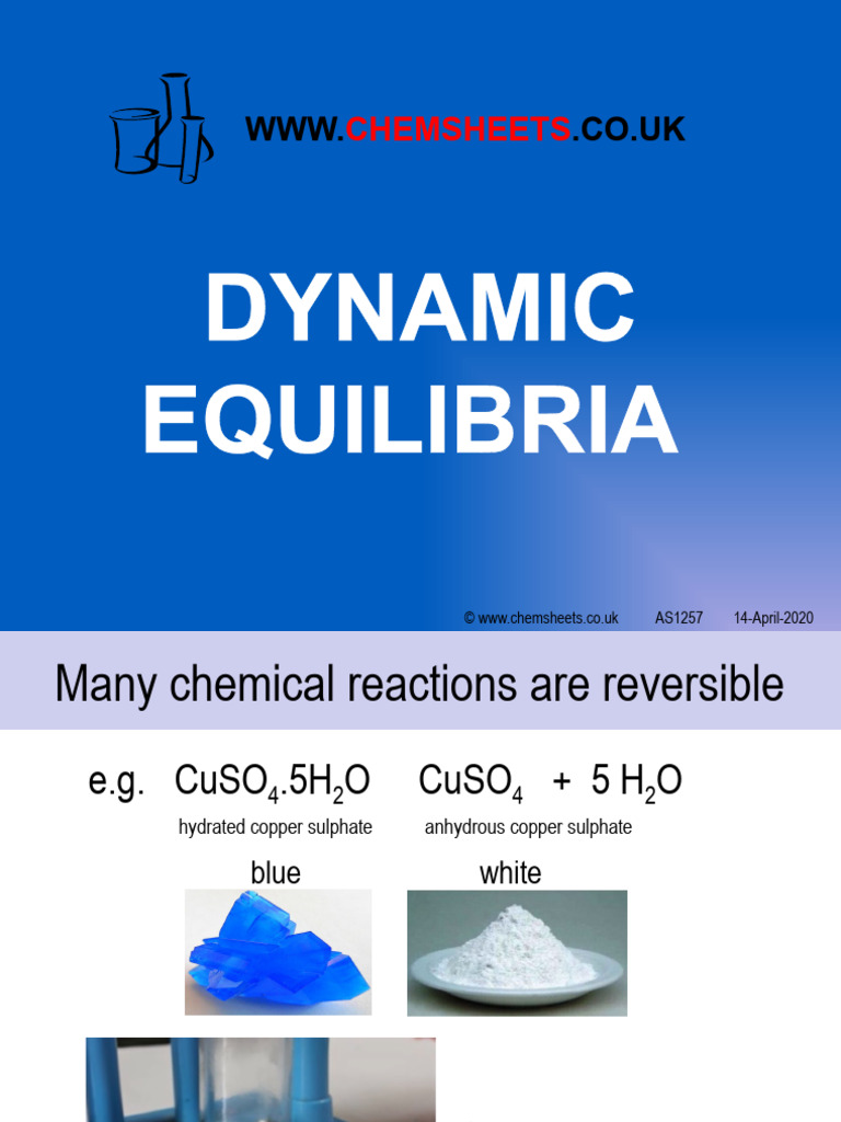 Understanding Dynamic Equilibrium | PDF | Chemical Equilibrium ...