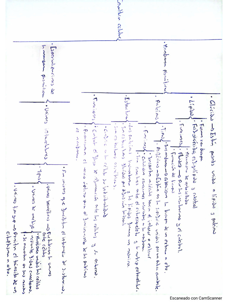 Esquema Tema 7 | PDF