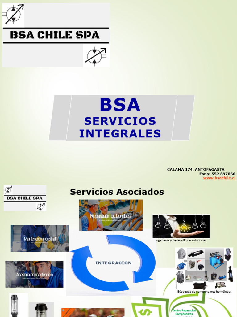 Presentacion Bsa Chile Spa | PDF