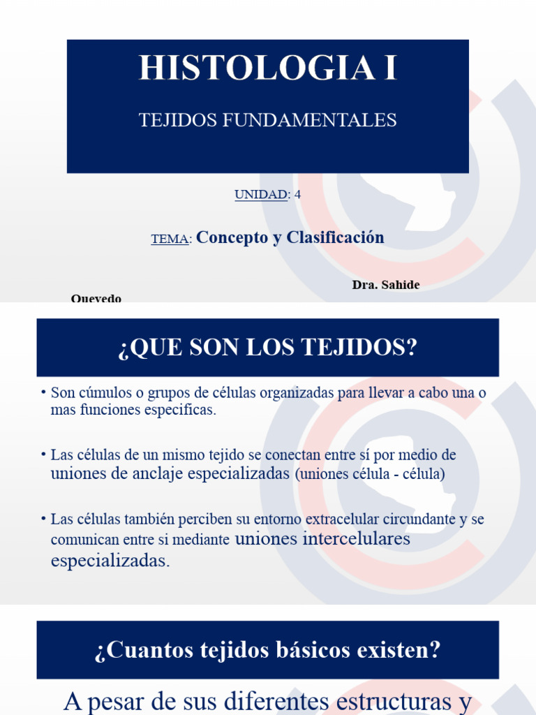 3° Clase.. Generalidades Tejidos Basicos | Descargar gratis PDF | Tejido conectivo | Músculo