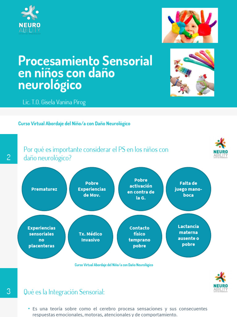Procesamiento Sensorial | Descargar gratis PDF | Sentidos | Sistema somatosensorial