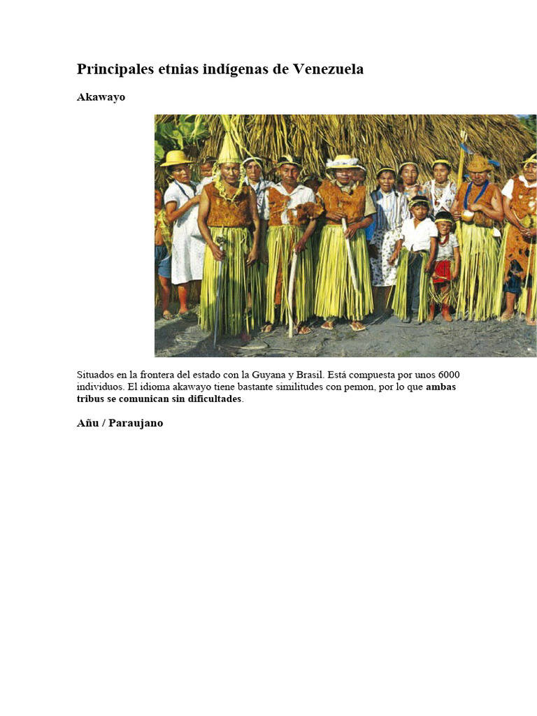 Principales Etnias Indígenas de Venezuela | PDF | Pueblos Indígenas de ...