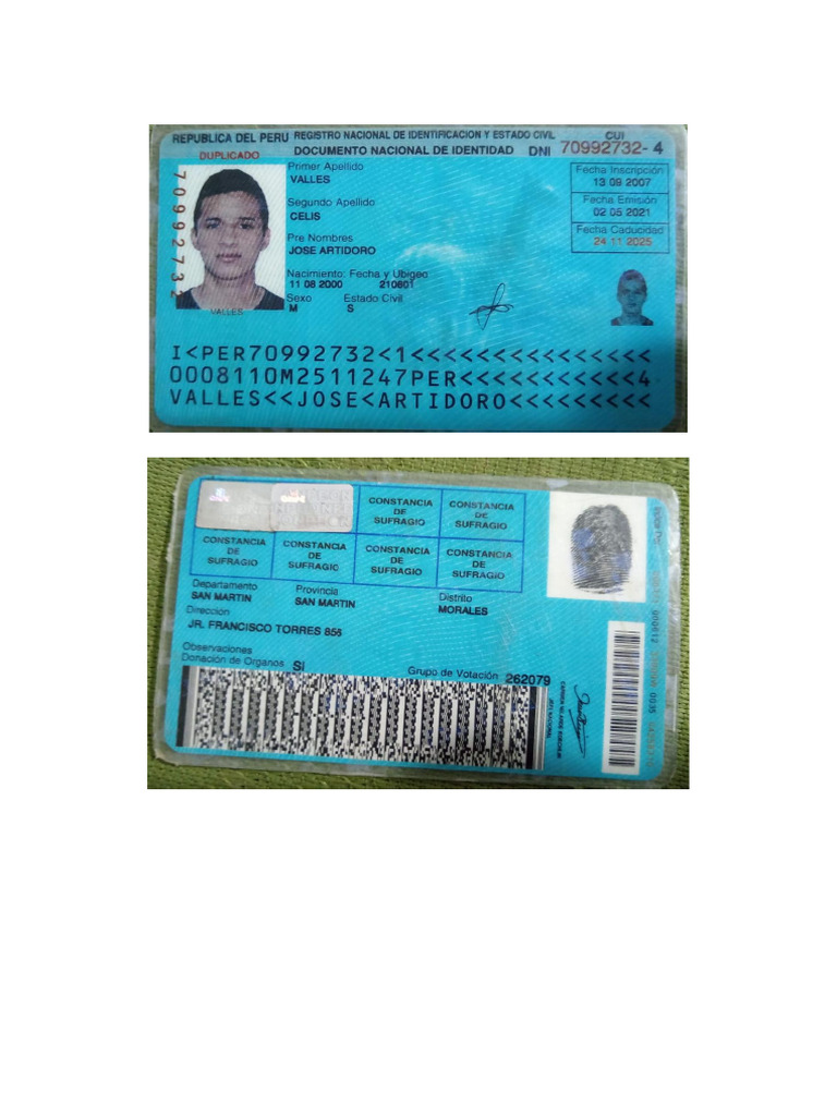 Jose Valles PDF | PDF