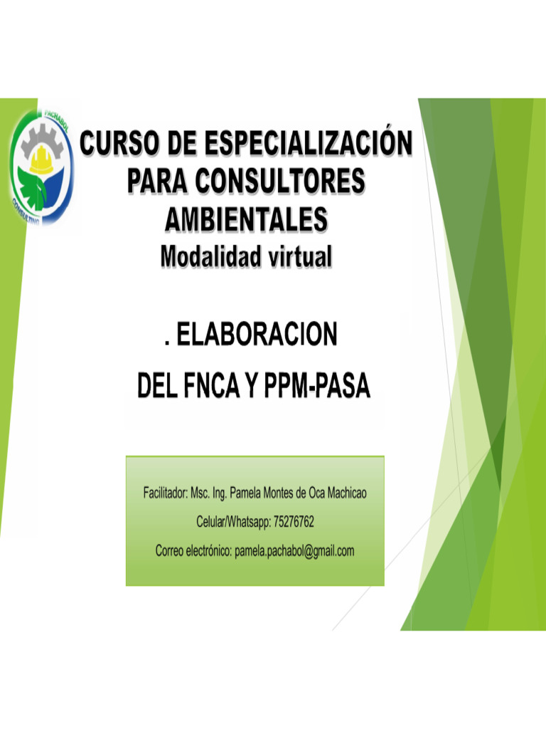 Fnca - PPM Pasav8f | PDF