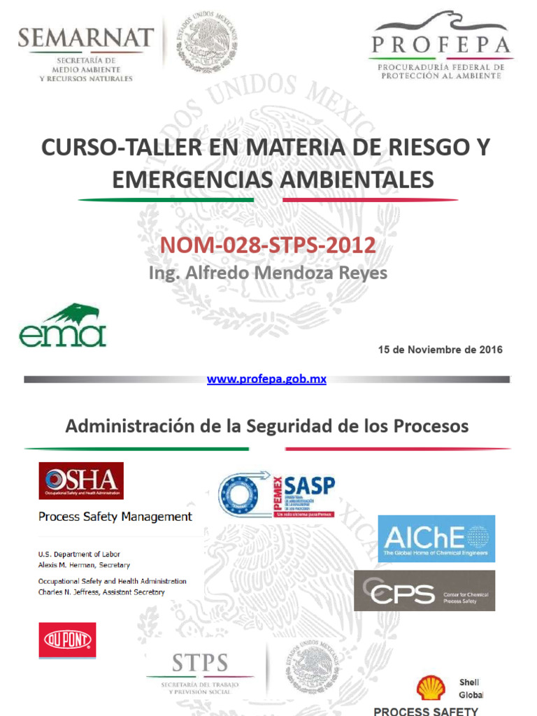 1 3 Nom-028 | PDF | Petroquímico | Petróleo