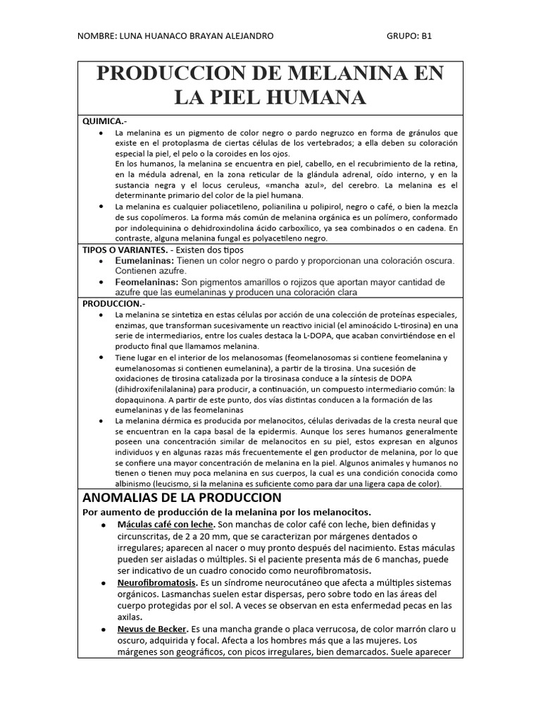 Producción de Melanina en la Piel | PDF | Piel | Sistema tegumentario