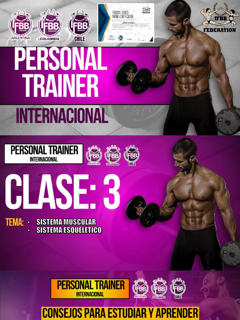 Clase 3 - Sistema Muscular. Sistema Esquelético - Personal Trainer ...