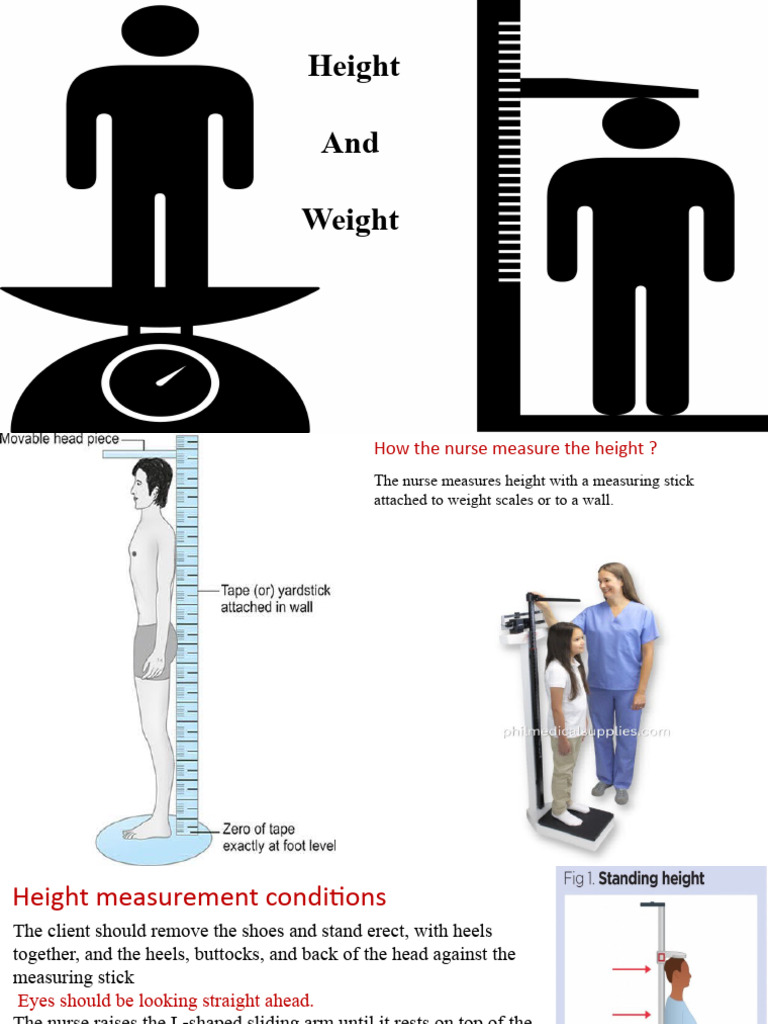 Height and Weight | PDF | Wellness