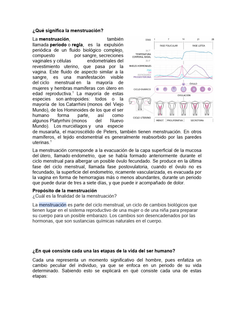 Significado | PDF | Menstruación | Ciclo menstrual