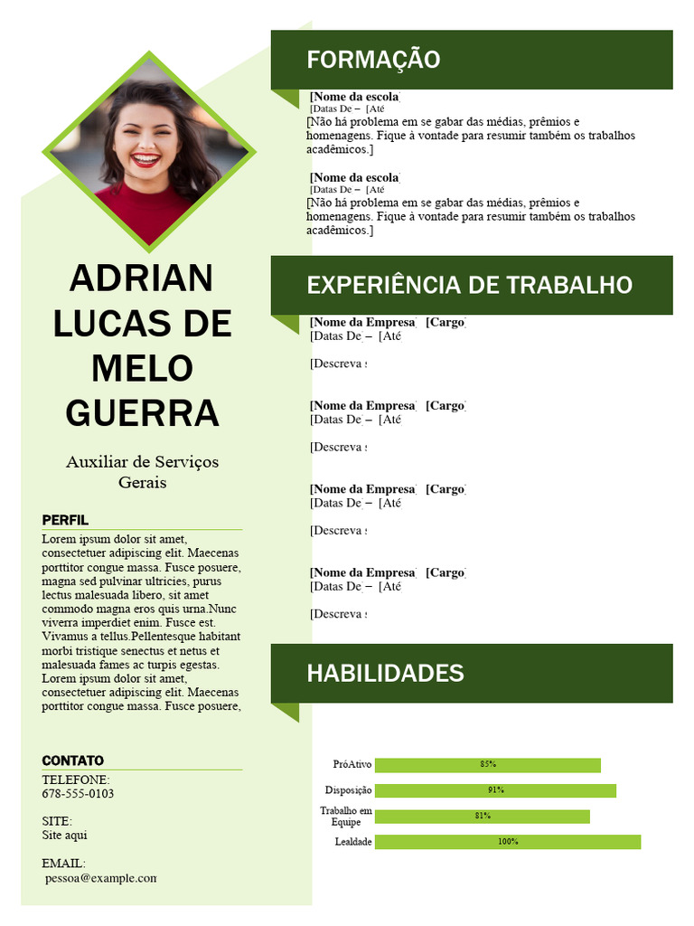 Curriculum modelo | PDF