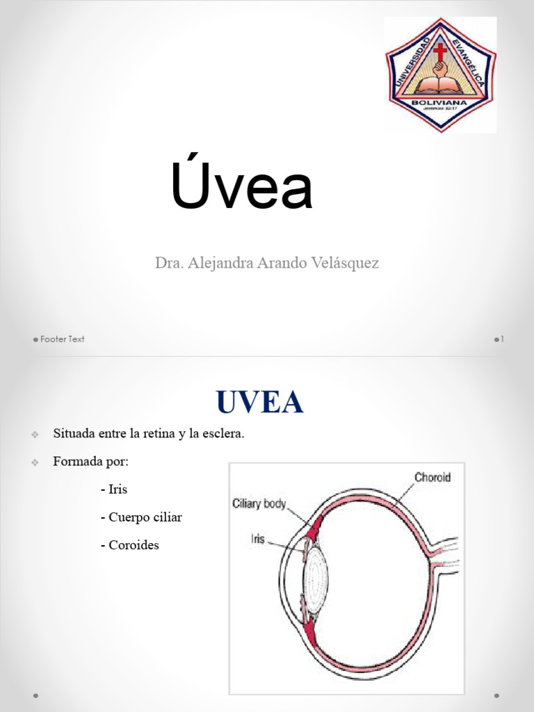 Tema 9 Úvea.pptx | PDF | Inflamación | Enfermedades y trastornos