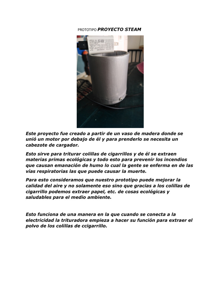 Proyecto STEAM(1) | PDF