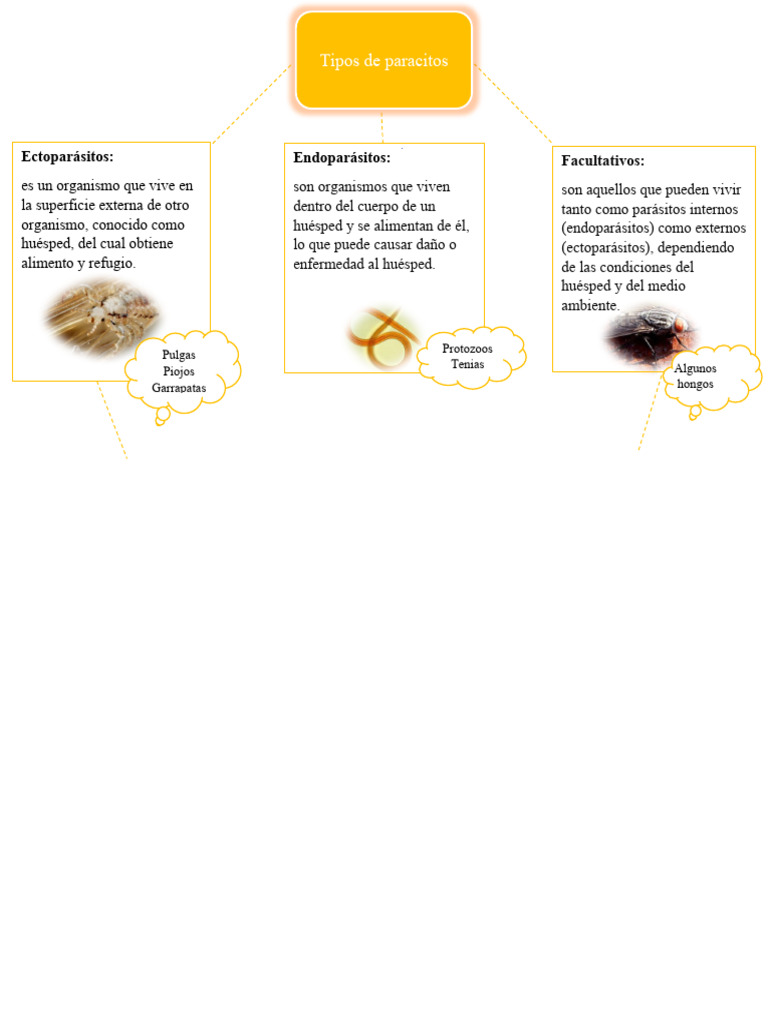 Mapa Conseptual Fernando Argueta Grupal | PDF