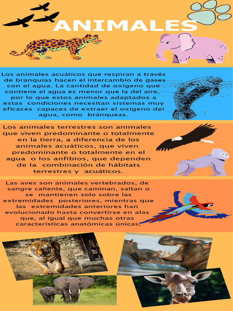 Infografia de Animales | PDF