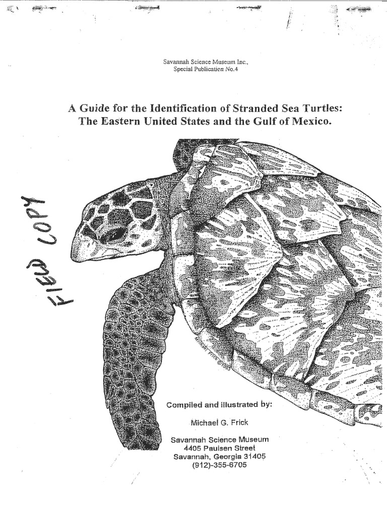 Guide For Stranded Turtles | PDF