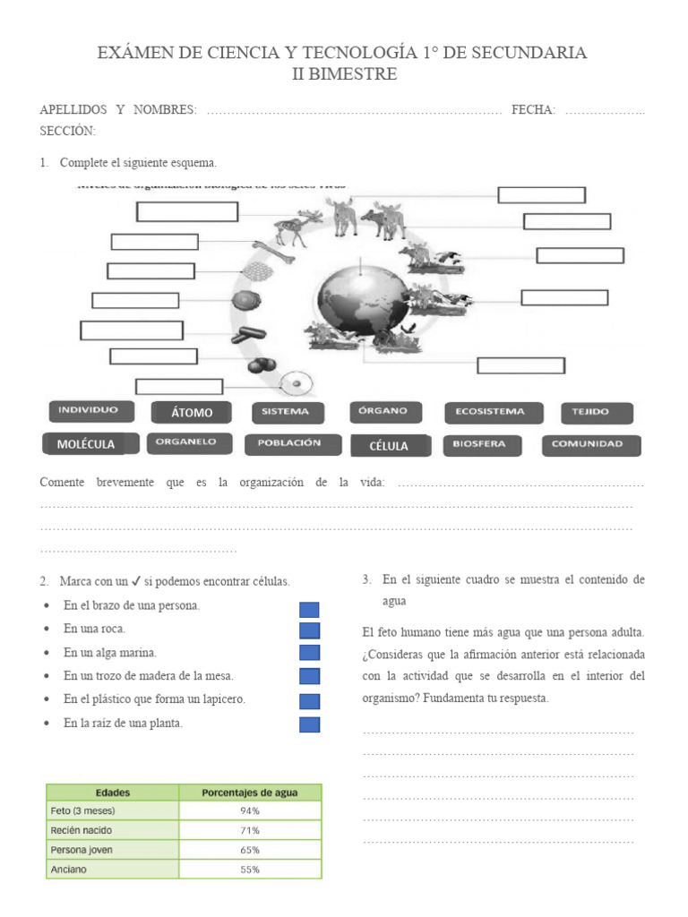 Exámen de Ciencia y Tecnología Ii Bimestre | PDF | Alimentos | Vitamina