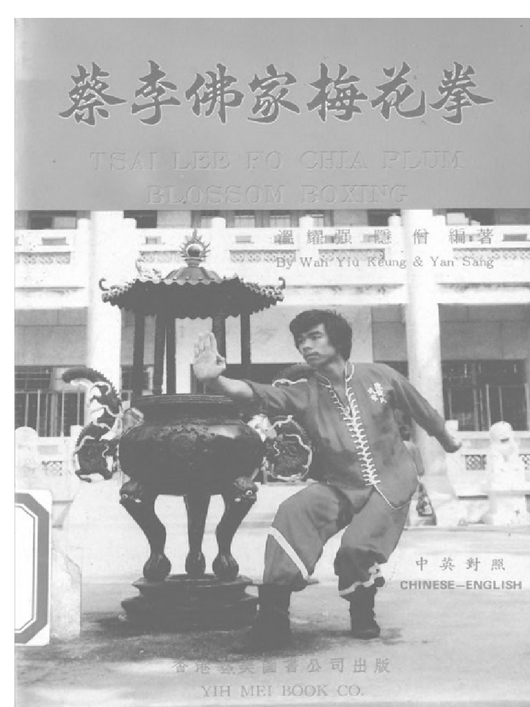 Tsai Lee Fo Plum Blossom Boxing (蔡李佛拳+梅花拳. Wan Yiu Keung, Yan Sang.) (Z ...
