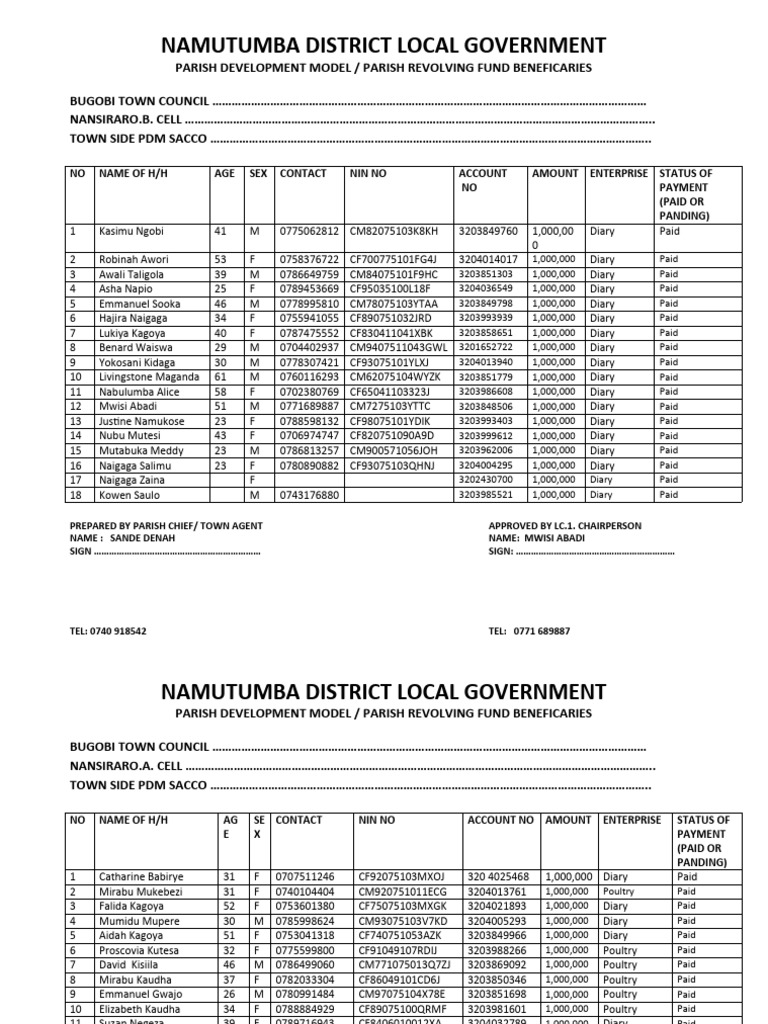 NAMUTUMBA DISTRICT LOCAL GOVERNMENT (Autosaved) 3 | PDF