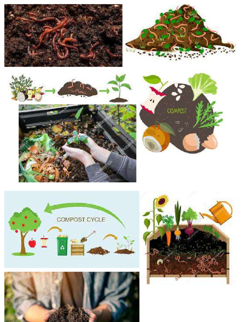 2 Compost | PDF