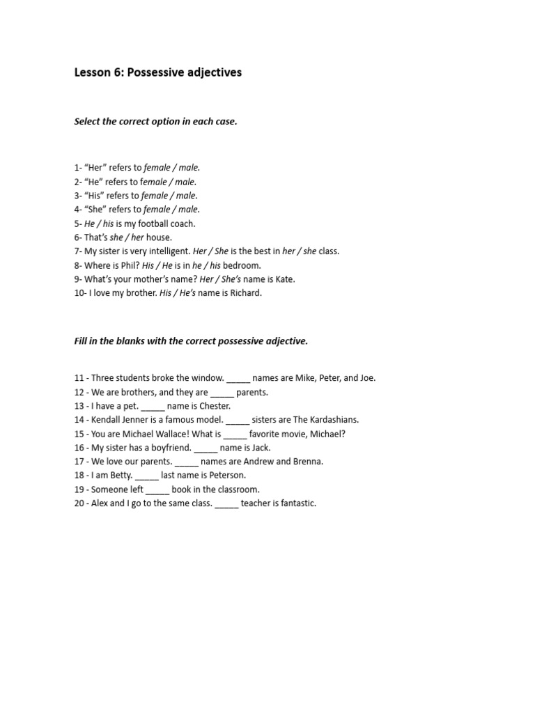 Lesson 6 Possessive Adjectives | PDF