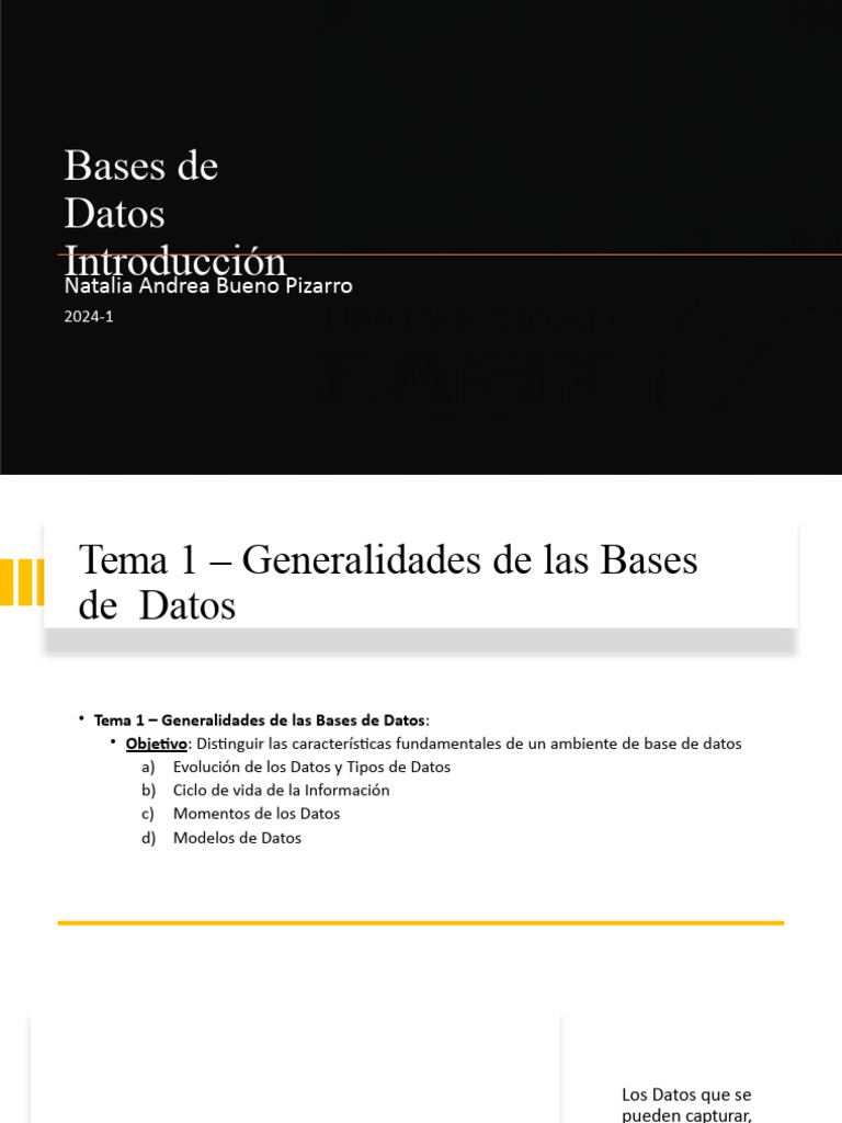 2-Generalidades de Las BD | PDF | Bases de datos | Lenguaje de programación