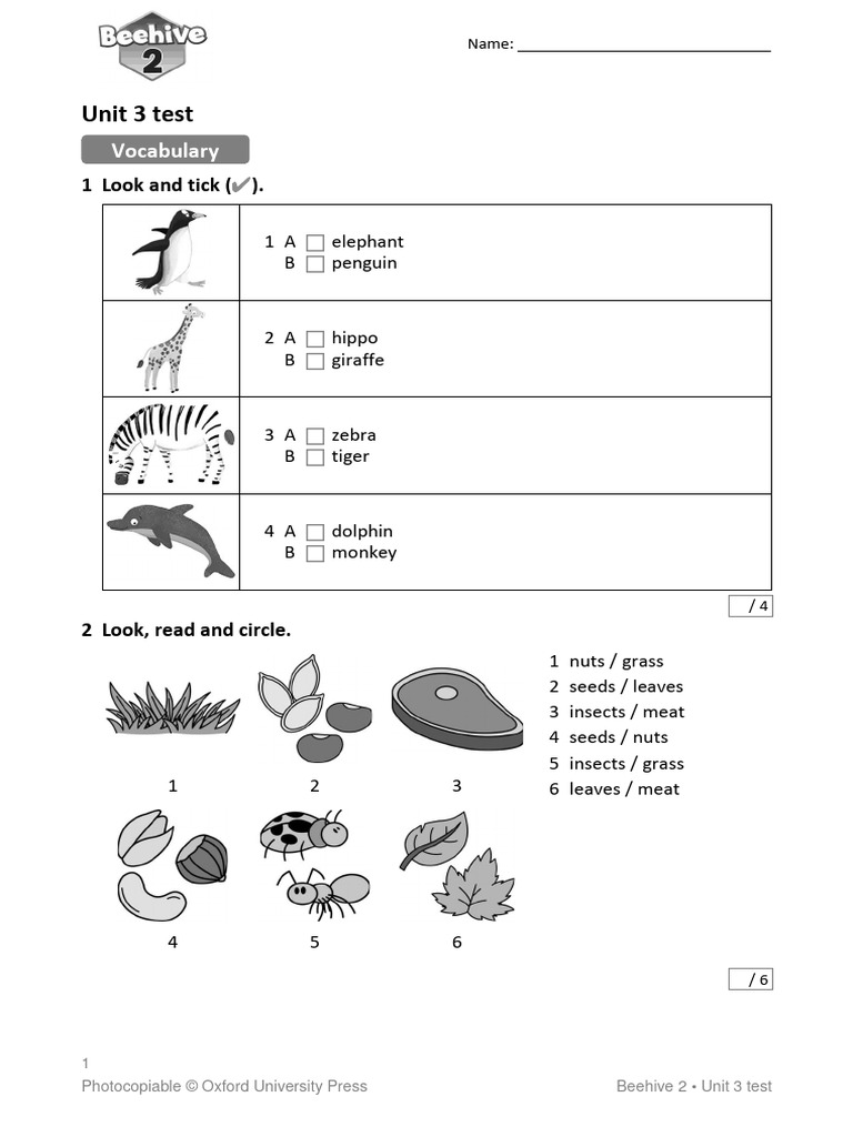 Beehive - Tests - Level 2 - Unit Test 3 | PDF | Zoology