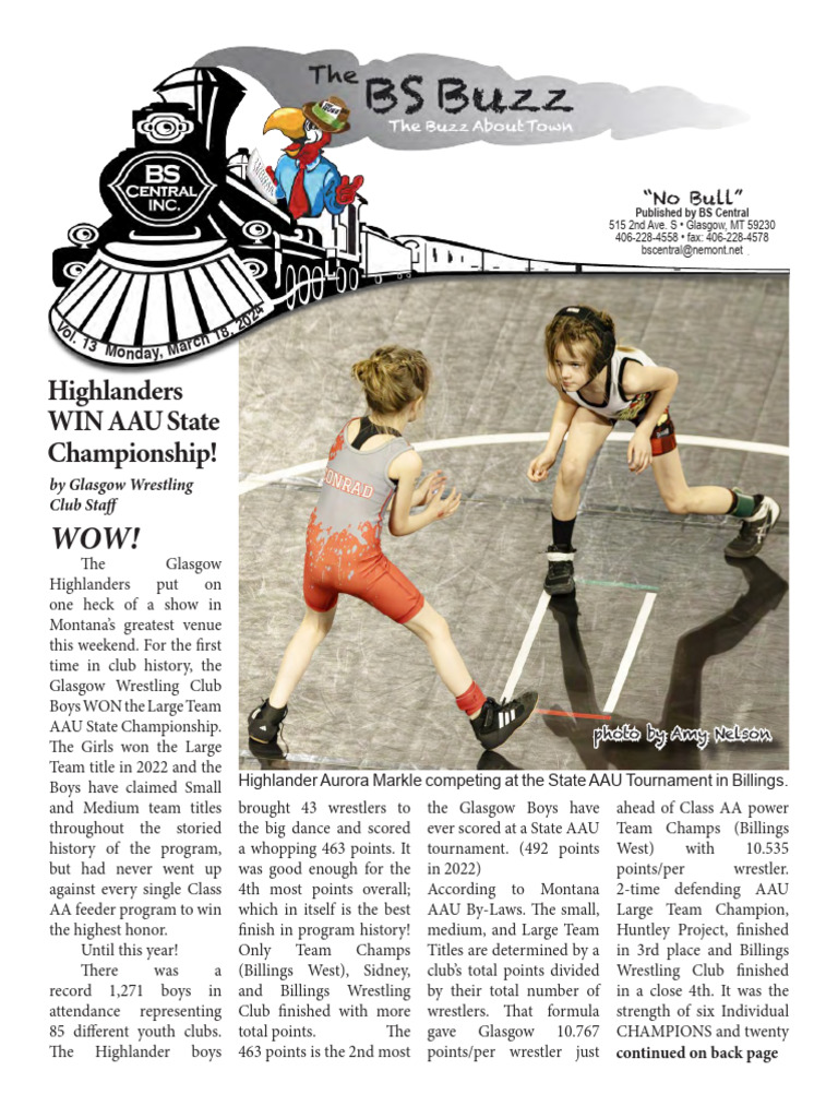 BS Buzz | Download Free PDF | Beef | Steak