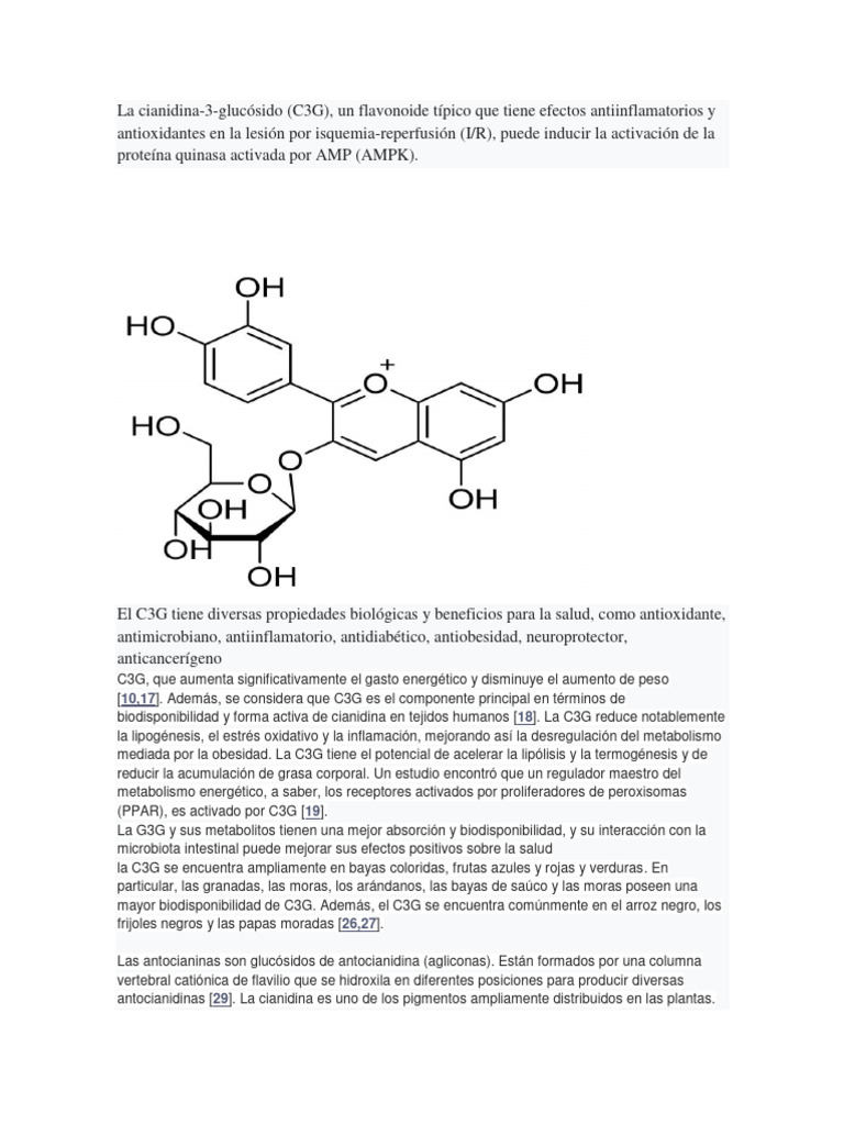 La Cianidina | PDF | Bioquímica | Química