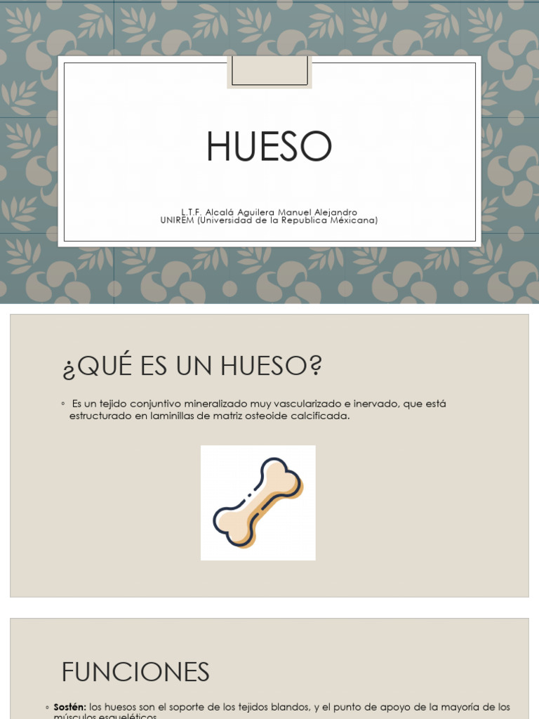 Biomecánica Del Hueso | PDF | Hueso | Anatomía Biomecánica Del Hueso | PDF | Hueso | Anatomía